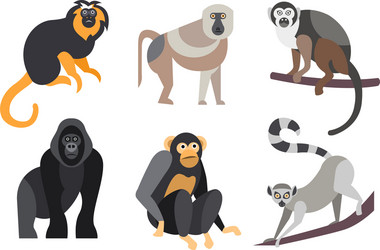 Collection of monkeys different breeds Royalty Free Vector