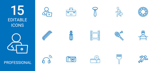 13 professional icons Royalty Free Vector Image