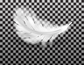 Black fluffy feather with shadow realistic Vector Image