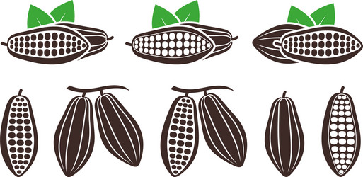 Cocoa Royalty Free Vector Image - VectorStock