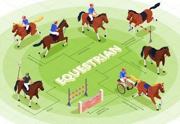 Infographic Equestrian Infographics Vector Images (over 210)