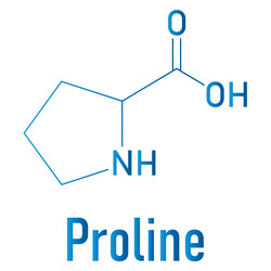 Proline amino acid molecule skeletal formula Vector Image