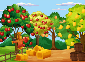 Farm scene with many apple trees Royalty Free Vector Image