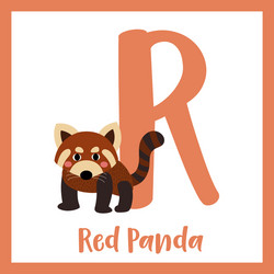 Letter r vocabulary standing red panda with bamboo