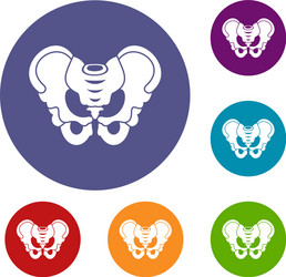 Pelvis Logo Vector Images (over 520)