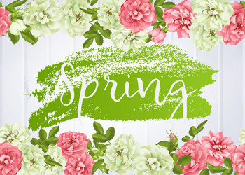 Realistic pink rose set 3d roses Royalty Free Vector Image