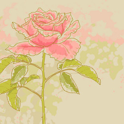 Pink roses on white background Royalty Free Vector Image