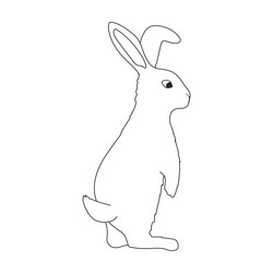 Rabbit outline icon Royalty Free Vector Image - VectorStock