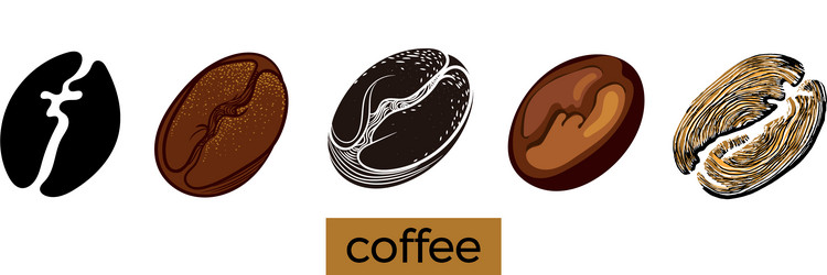 Coffee beans roast stages Royalty Free Vector Image