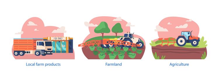 Stages of cultivation and crop preparation Vector Image