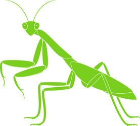 Praying mantis engraving Royalty Free Vector Image