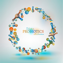 Probiotics types poster Royalty Free Vector Image