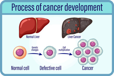 Cancer Cartoon Vector Images (over 12,000)