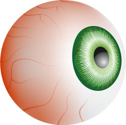 Realistic Mockup Blood Vector Images (86)