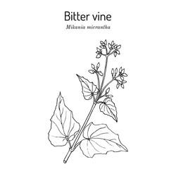 Bitter Vector Images (over 14,000)