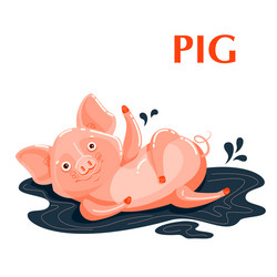 Pig Flashcard Vector Images (85)
