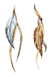 Nice feather Royalty Free Vector Image - VectorStock