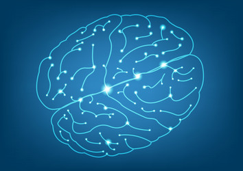 Brain Function Vector Images (over 2,700)