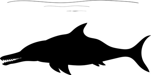 Ichthyosaur Vector Images (over 200)