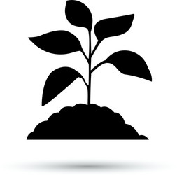 Biology little plant Royalty Free Vector Image