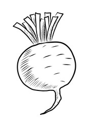 Black and White Beetroot Logo Vector Images (over 510)