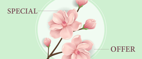 Special offer vertical banner design with pink Vector Image