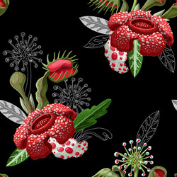 Plant predators such as venus flycatcher sundew Vector Image