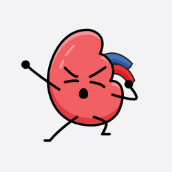Kidney character with cute face and simple body Vector Image