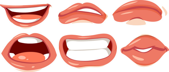 Male Lip Shapes Chart