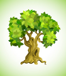 Oak tree Royalty Free Vector Image - VectorStock