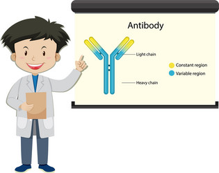 Antibodies Clipart
