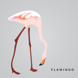 Flamingo Vector Images (over 27,000)