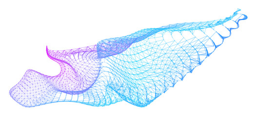 Network lines net wave information flow Royalty Free Vector