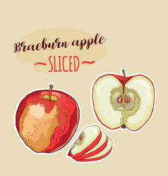 Hand drawn black and white realistic candy apple Vector Image