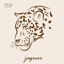 Jaguar Vector Images (over 17,000)