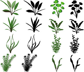 Plants Vector Images (over 1.9 million)