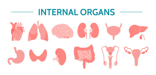 Internal Vector Images (over 500,000)