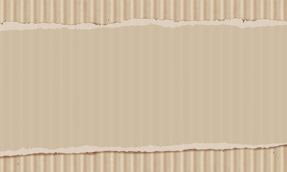 Cardboard boxes with torn edges creases spill Vector Image