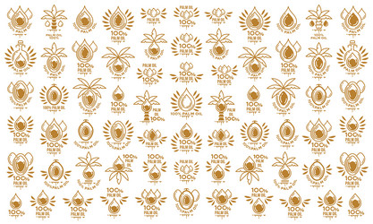 Palm Kernel Vector Images (over 110)