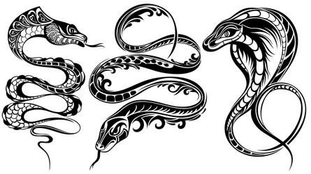 Snake tattoo Royalty Free Vector Image - VectorStock