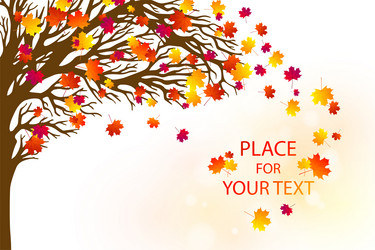 Autumn background with maple tree falling leaves Vector Image