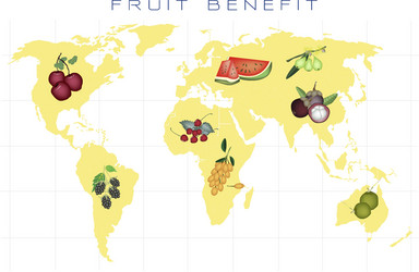 World map with fast food and sweet Royalty Free Vector Image