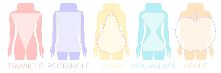 Human Body Proportions Vector Images (over 940)