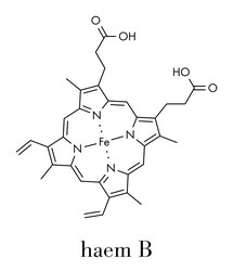 Heme Molecule Hemoglobin Vector Images (44)