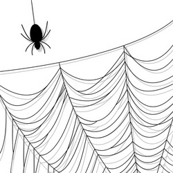 Free Spider Web Vector Images (over 2,400)