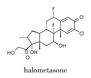 Topical Vector Images (over 10,000)