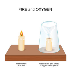 Scientist kids with oxygen and fire experiment Vector Image