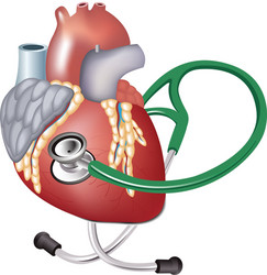 Heart and pacemaker cardiology Royalty Free Vector Image