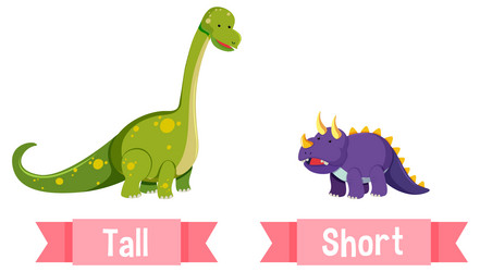 Opposites Tall Short Vector Images (16)