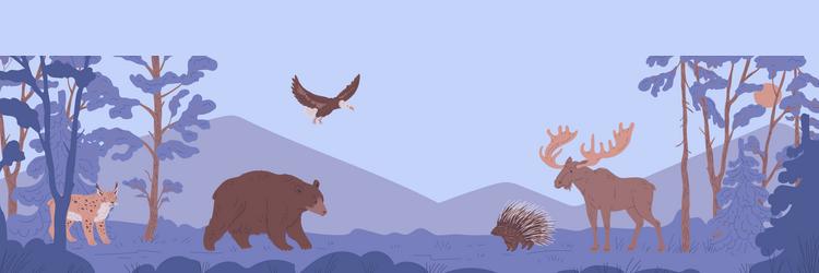 North America Animals Vector Images (over 2,100)